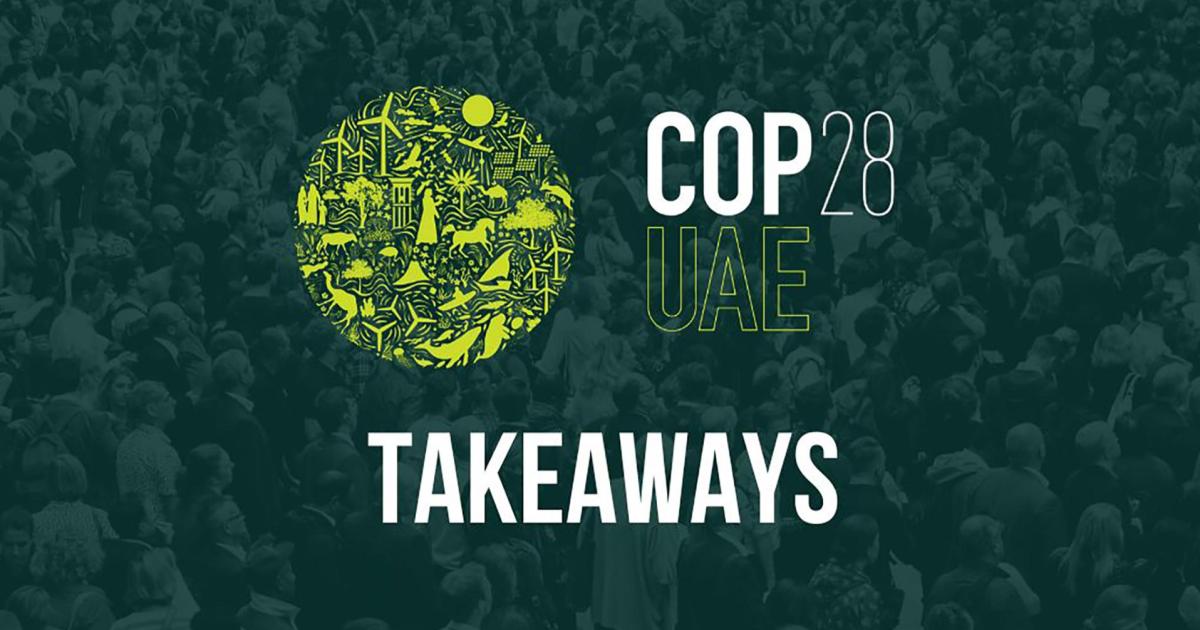 What good are climate talks? Five takeaways from COP28 | Project Drawdown®